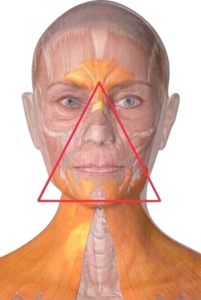 Ação da mímica Facial – Dra. Bianca Gastaldi Dermatologista